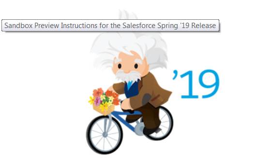 Salesforce Spring 19 Release preview Instructions - Salesforce Tutorial ...