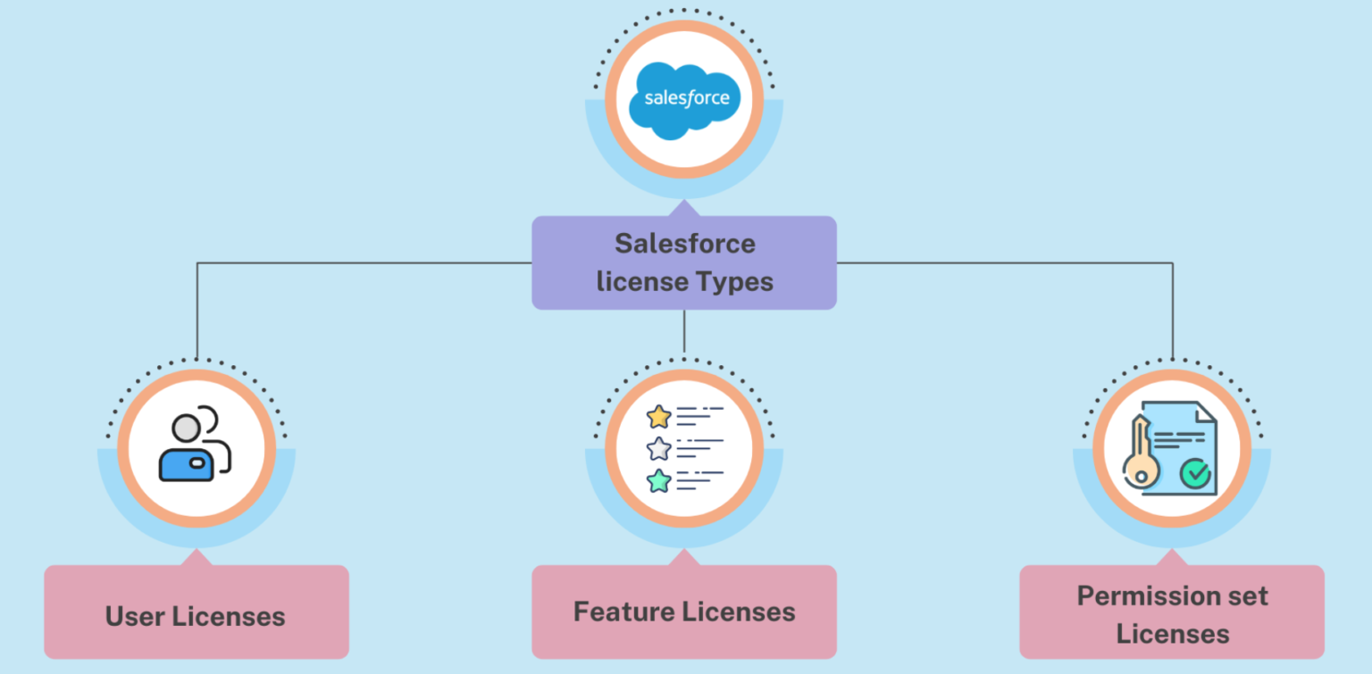 Salesforce License Types and Limits in Salesforce - Salesforce Tutorial - Intervew Questions ...
