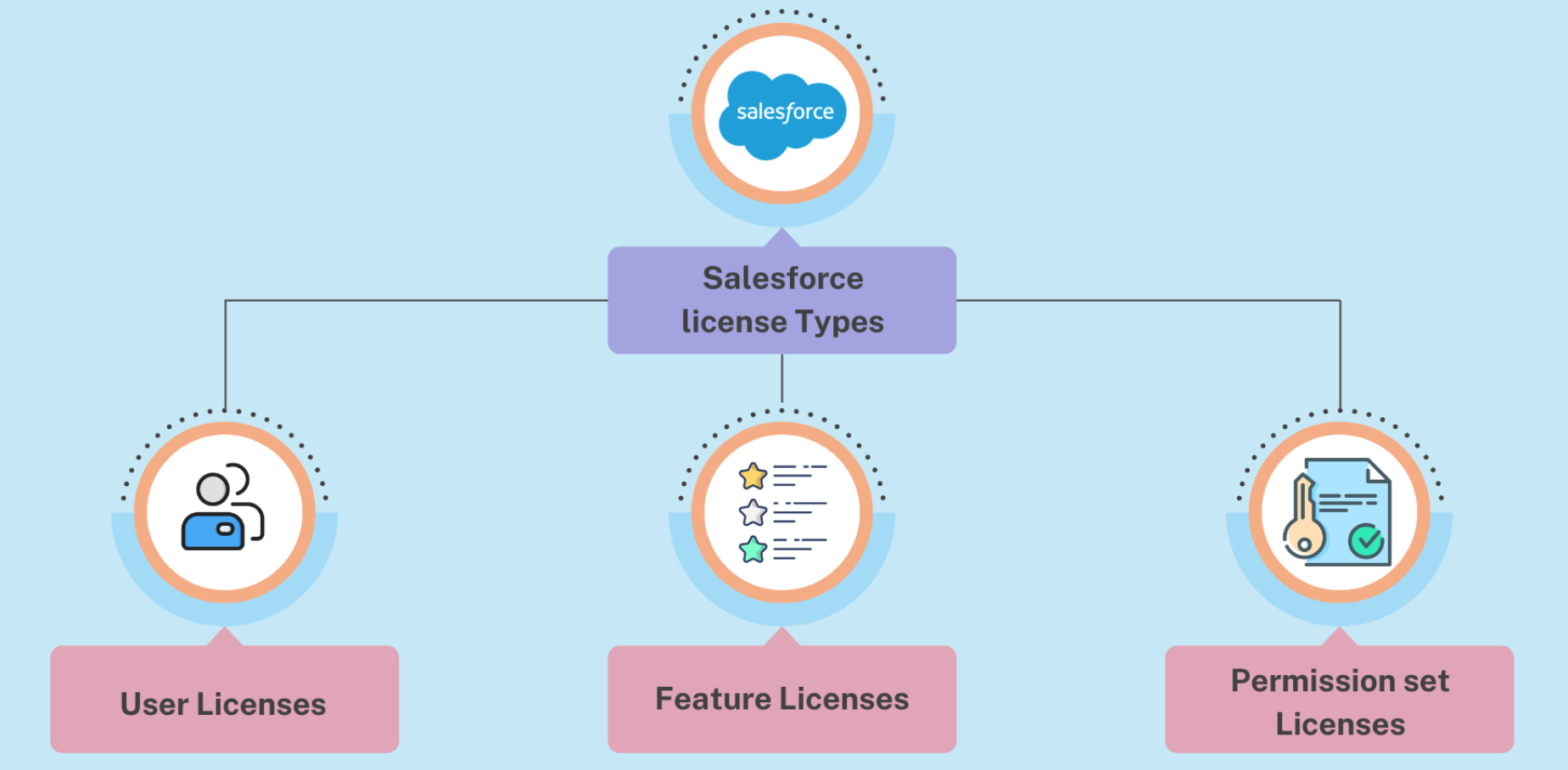 Salesforce License Types And Limits In Salesforce Salesforce Tutorial Intervew Questions
