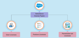 Salesforce License Types and Limits in Salesforce - Salesforce Tutorial - Intervew Questions ...