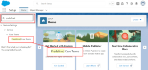 Case Teams in Salesforce Service Cloud - Salesforce Tutorial - Intervew ...