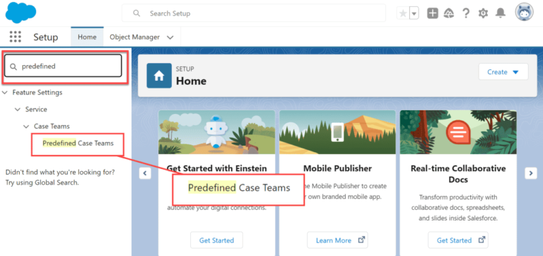 Case Teams in Salesforce Service Cloud - Salesforce Tutorial - Intervew ...