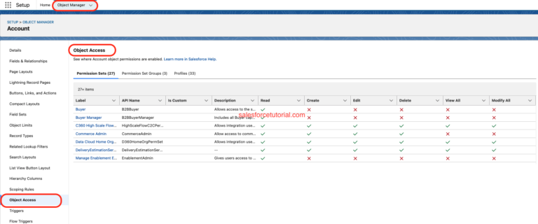 Introducing Object Access In Object Manager Salesforce Tutorial Intervew Questions 9062