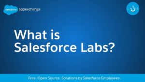 What Is Salesforce Labs? - Salesforce Tutorial - Intervew Questions, Certification 2024